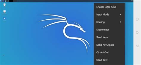 Advanced KeX Settings