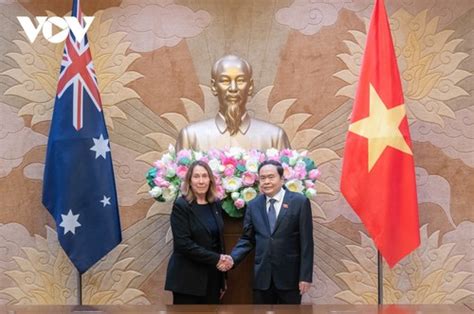 陈青敏会见澳大利亚参议院议长苏·莱恩斯