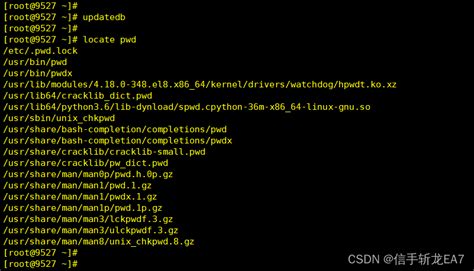 Linux查找文件路径linux查找文件在哪个目录 Csdn博客