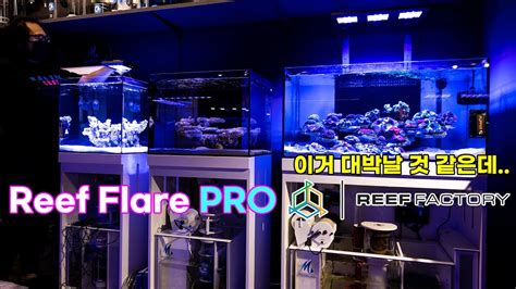 이거 물건입니다 리프플레어 프로 사양별 심층 리뷰 Youtube