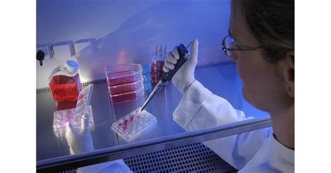 In Vitro Toxicity Testing Market Get Healthy Cagr 12 0 And Is Projected To Reach 59 148