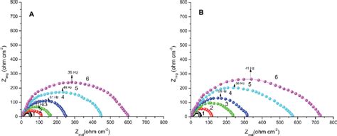 nyquist plots for s fe corrosion in the blank 1 0 m hcl solution and