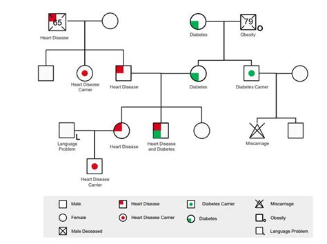 Genogram Example With Key Serreforme