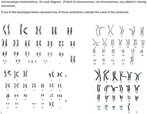 Solved Use Karyotype Nomenclature For Each Diagram Total Number Of