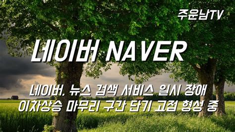 네이버 Naver 주가 추세 분석 단기 고가 근접하고 있습니다 향후 주가는 Youtube