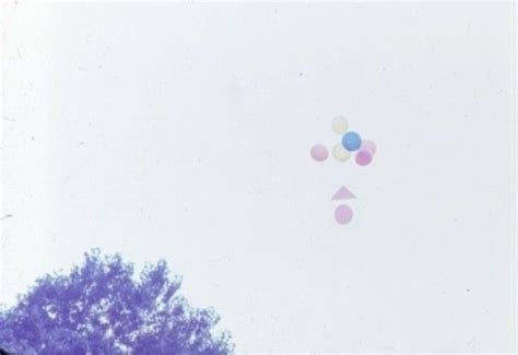 台灣民主國國旗與共和國諸旗 Vs 中華民國五色旗與黨旗變國旗（更新版） 台灣放送