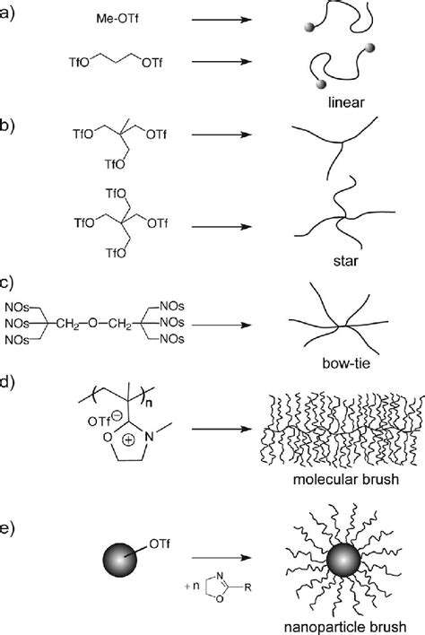 A Straightforward Possibility To Vary The Architecture Of Pox A Download Scientific Diagram