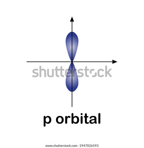 P Orbital Diagram Chemistry Stock Vector Royalty Free Shutterstock