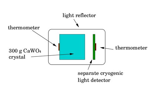 Schematic Of A Detector Module It Consists Of A Scintillating 300 G Download Scientific