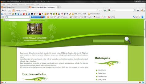 Memoire Online Création d un site web dynamique avec accès à une