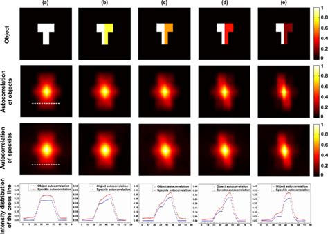 Theoretical Analysis For The Imaging Of Gray Scale Objects With S Aci