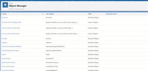 Add Custom Fields Account Planner