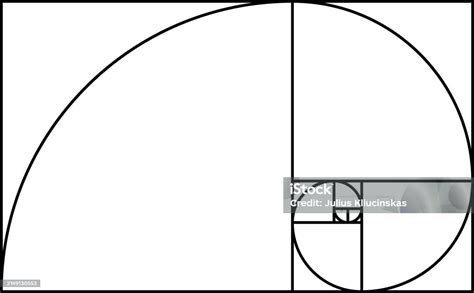 황금 비율 기하학적 개념 피보나치 나선 형상 템플릿 구성 나선형 안내선 그래픽 디자이너 수학 수학 예술 벡터 일러스트 레이