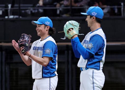プロ野球 日本ハム－ロッテ 写真特集221 毎日新聞