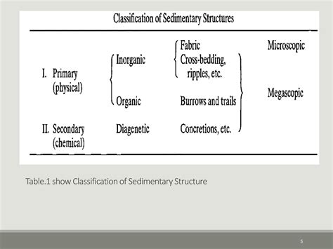 Sedimentary Structure Is The Feature In Sedimentary Rock To Distinguishe Body Op Sedimentary