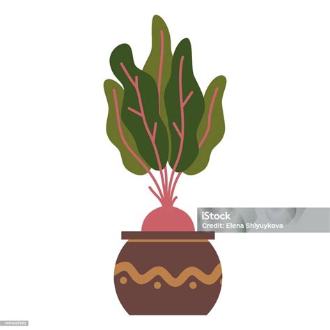 사탕무는 냄비 만화 스타일에 꼭대기입니다 트렌디한 현대 벡터 일러스트레이션은 흰색 배경 손으로 그린 평면 디자인에 분리되어 있다 0명에 대한 스톡 벡터 아트 및 기타 이미지