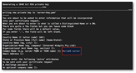 how to set up mariadb ssl and secure connections from clients nixcraft
