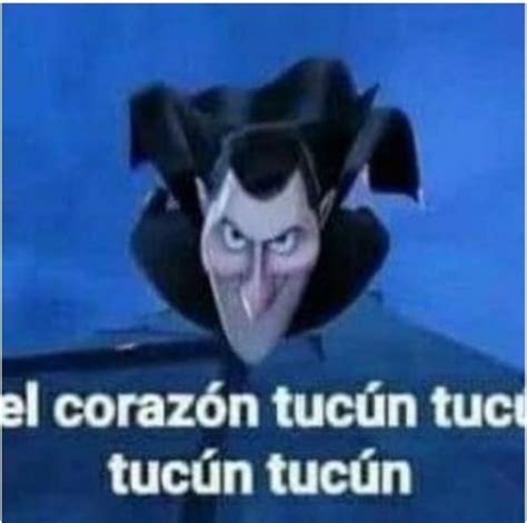 Los Últimos Memes Memedroid Los Últimos Memes Memedroid