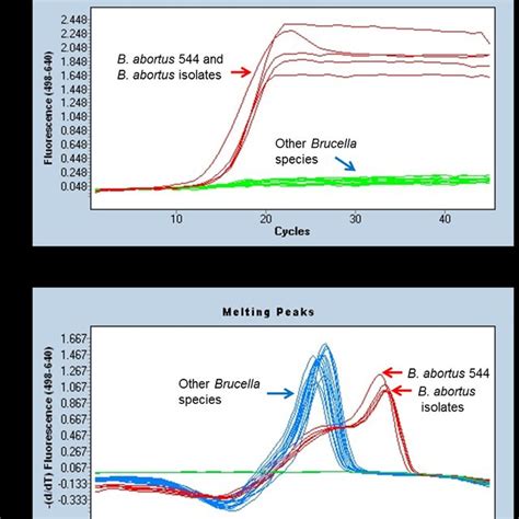 Logarithmic Regression Of Quantitative Real Time Pcr Efficiency Testing