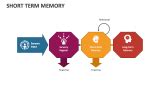 Short Term Memory PowerPoint And Google Slides Template PPT Slides
