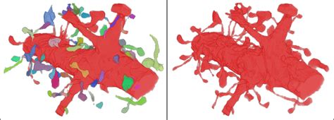 Automatic Segmentation Results Left An Manual Annotations Right For