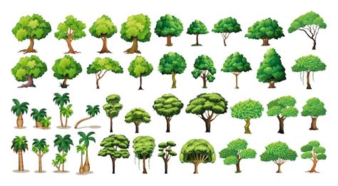 Premium Vector Tree Vector Free Download