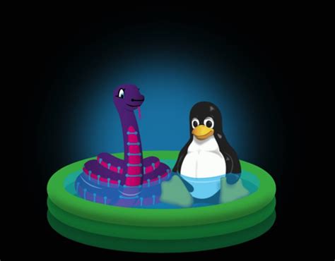 Python Is For The Birds Deep Dive Raspberry Pi Store And More Python Adafruit