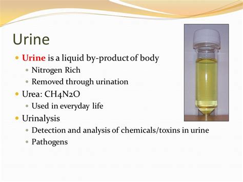 Nitrogen Uses In Everyday Life