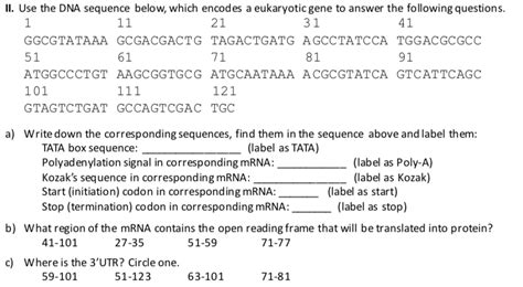 solved ii use the dna sequence below which encodes a
