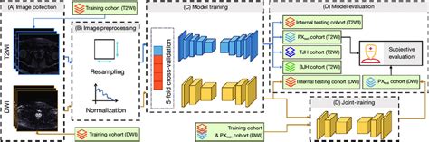 A Schematic Illustration Of The Model Training And Evaluation Process