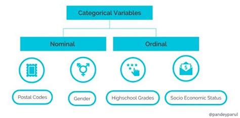 Beware The Dummy Variable Trap In Pandas Built In