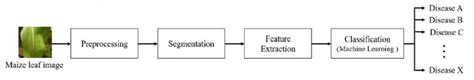 Maize Disease Image Classification Using Machine Learning 3 2 1