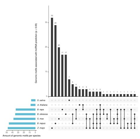 Shared Genomic Motifs Across Different Plant Species The Main Plot