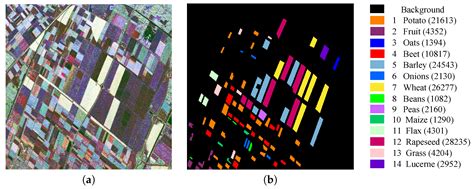 Remote Sensing Special Issue Deep Learning For Remote Sensing