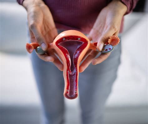 Вагинални гъбични инфекции Причини симптоми и превенция Mr Vit