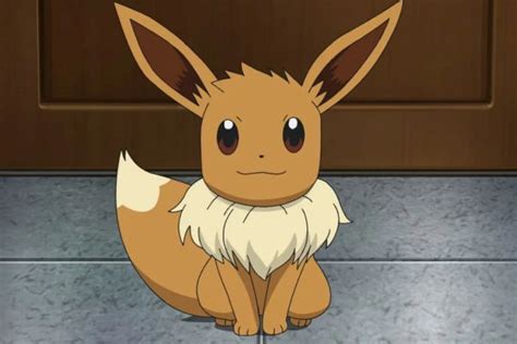 Mind Blowing Eevee Paradox Forms Unveiled By Pokemon Fan A Must See