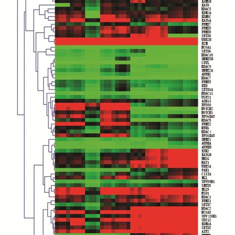 expression and clustering analysis of differentially expressed genes