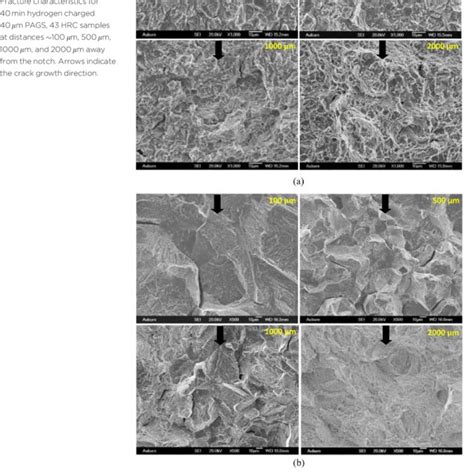 A Some Of The Characteristic Quasi Cleavage Fracture Appearances Download Scientific Diagram
