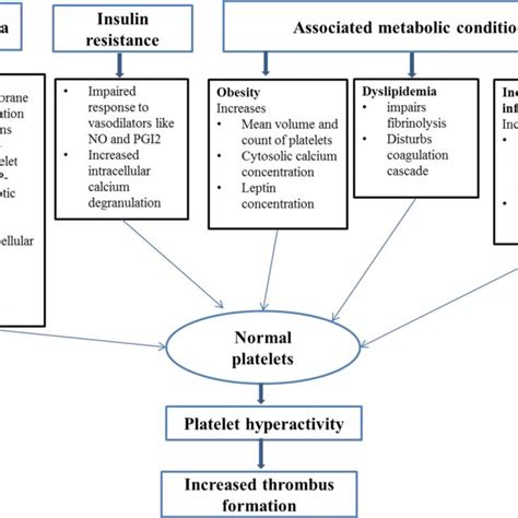 Schematic Representation Of Various Biochemical Factors Responsible For