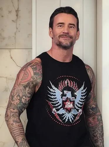 Poleras Cm Punk Eagle Seal Wwe Original Cuotas Sin Interés