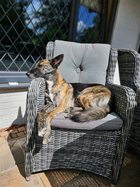 Manuel Chowdhury Mirp Mior On Linkedin What Is Your Preference Working From Home Onsite Or A