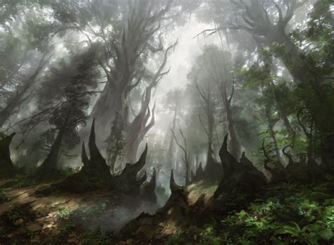 Mtg Art Forest From Core Set 2021 Set By Jonas De Ro Art Of Magic