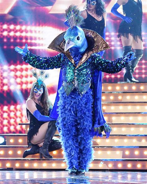 The Masked Singer Gladys Knight Is Bee Donny Osmond Is Peacock