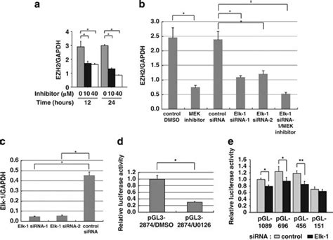 Ezh2 Mrna Expression Decreased After Mek Inhibitor Treatment And Download Scientific Diagram