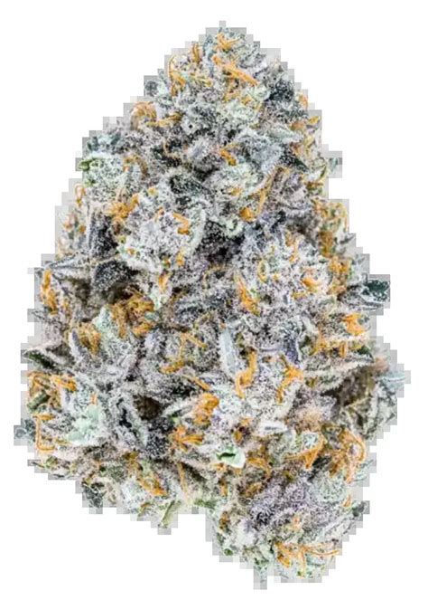 Permanent Marker Cannabis Strain Information GrowDiaries