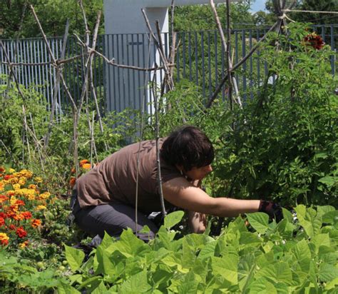 Help Nature Thrive In Small Spaces With Lara Mrosovsky Kawartha Land Trust