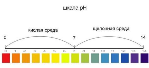 §10 3 Водородный показатель Шкала рН