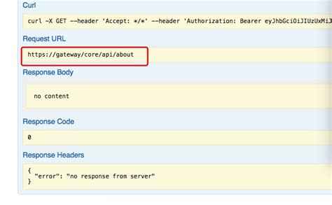 Swagger Ui Doesnt Work On Gateways And Registry For Microservices