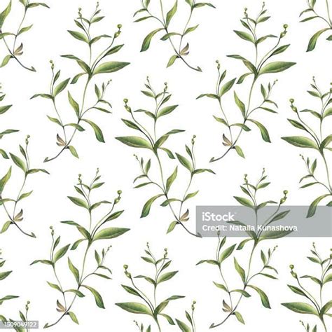 수채화와 디지털 녹색 잔디와 흰색 배경에 나뭇잎이 있는 매끄러운 패턴 꽃 봉오리와 손으로 그린 부시입니다 초대 카드 결혼 축 하 및 스티커에 대 한 배경 화면입니다 포장