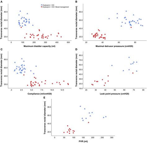 The Correlation Between Urodynamic Parameters And Transverse Rectal Download Scientific Diagram